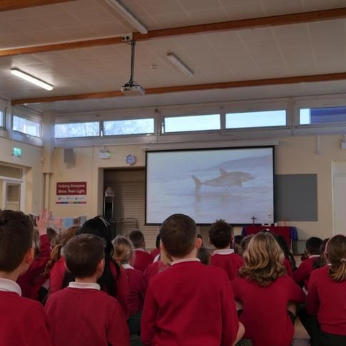 heathlands-church-of-england-voluntary-controlled-primary-school-west